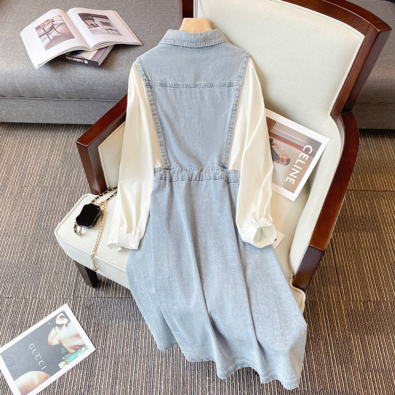 Plus Size Denim Long Sleeve Dress – Pluspreorder